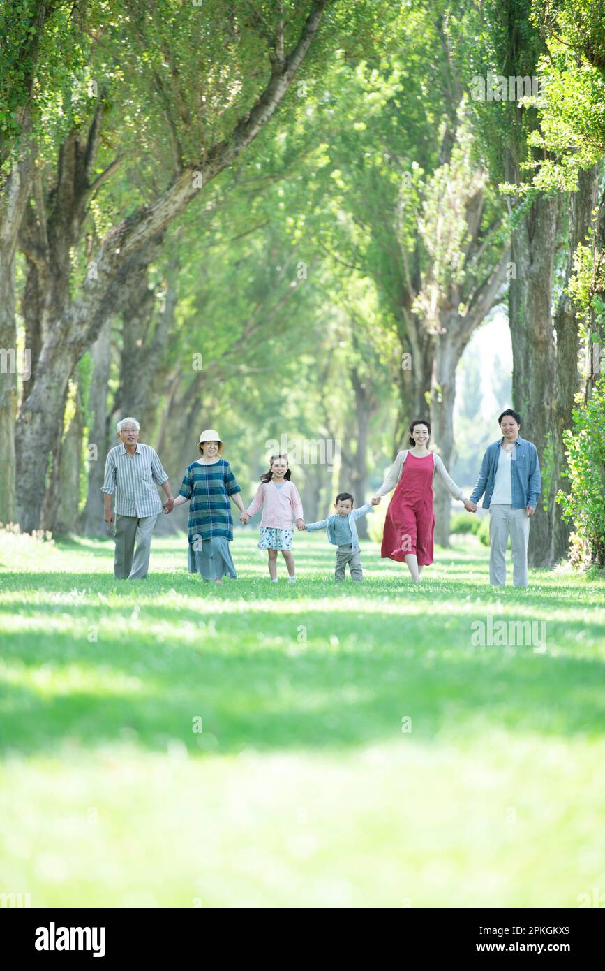 A family of three generations walking along the rows of poplar trees ...