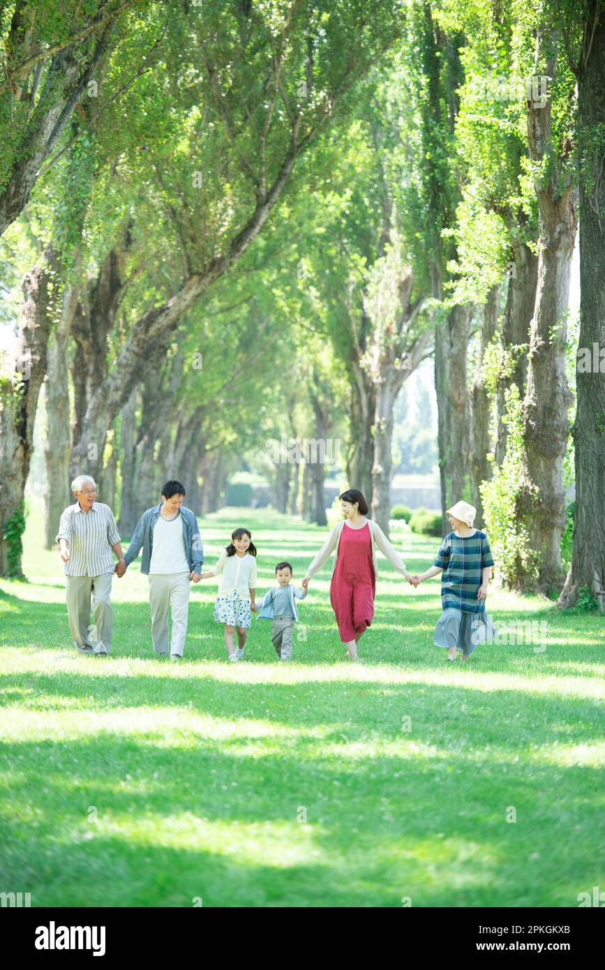 A family of three generations walking along a row of poplar trees Stock ...