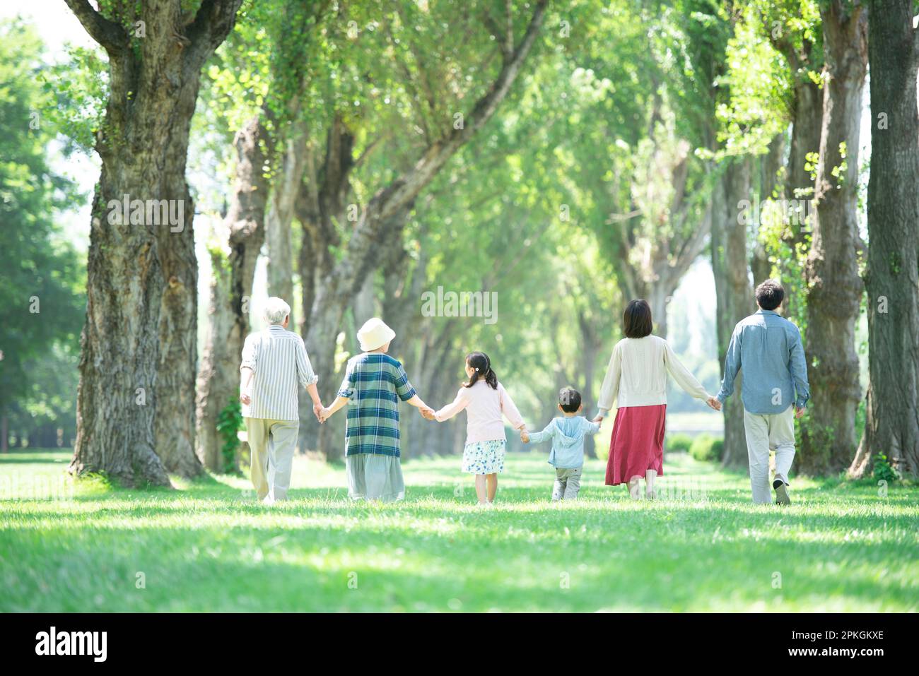 Back view of a family of three generations walking along a row of ...