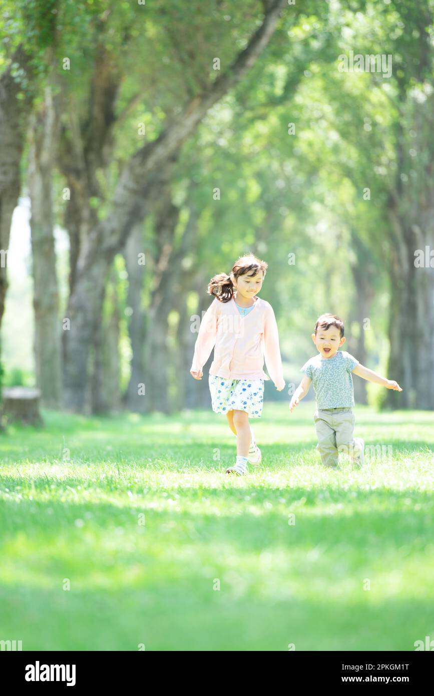 Sister and brother running along poplar trees Stock Photo - Alamy