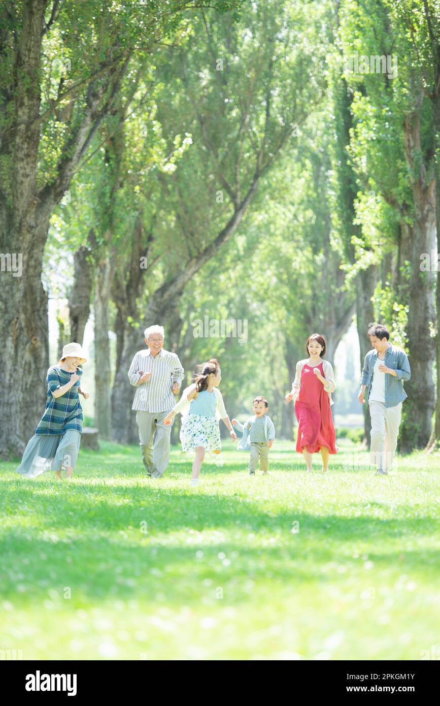 A family of three generations running alongside poplar trees Stock ...
