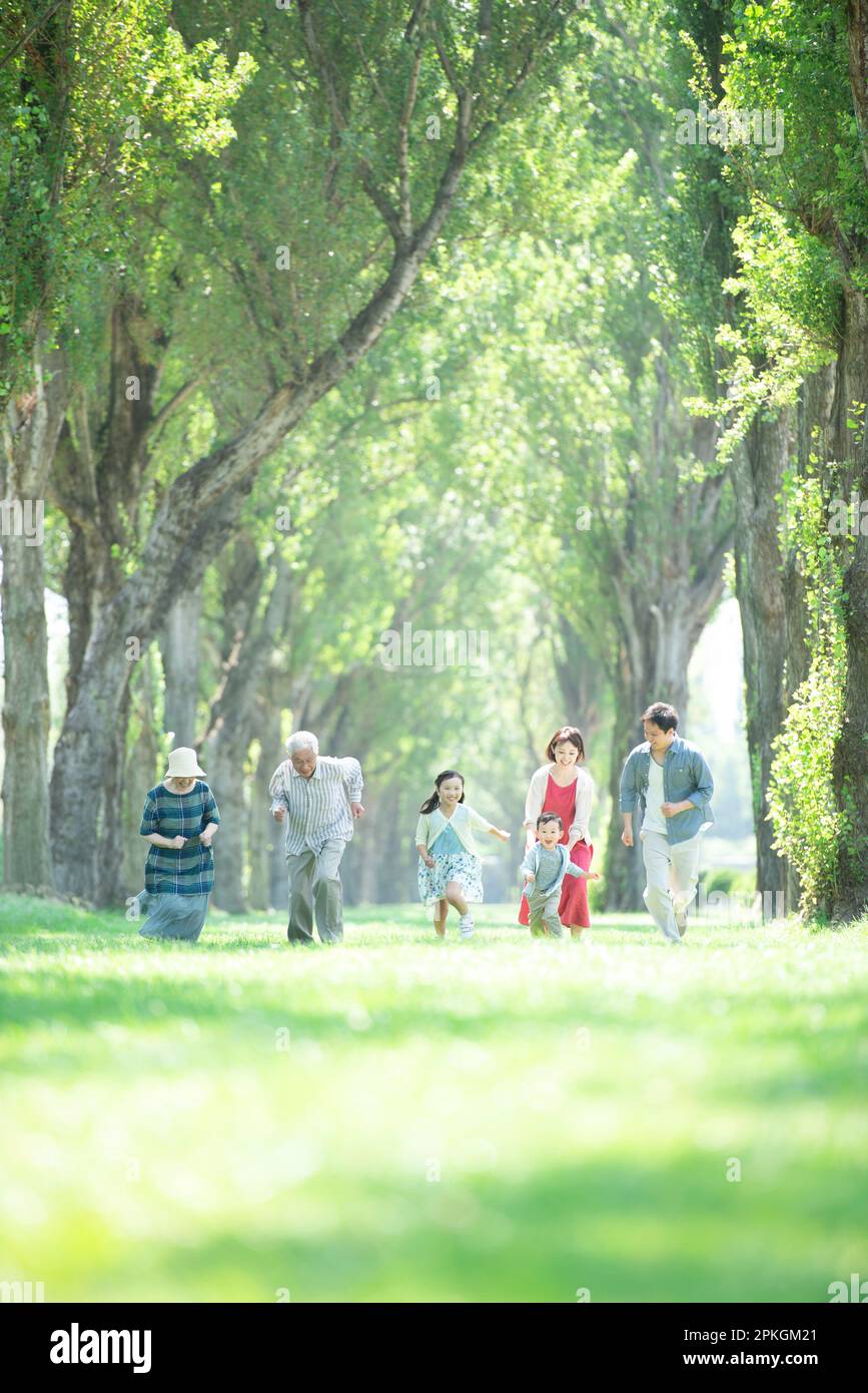 Family of 3 generations running along poplar trees Stock Photo - Alamy