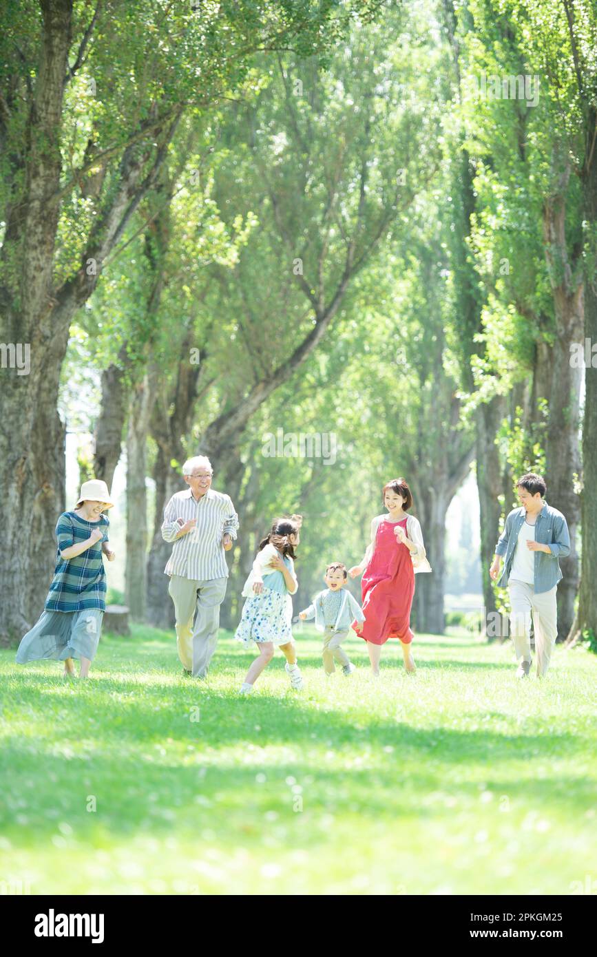 A family of three generations running alongside poplar trees Stock ...