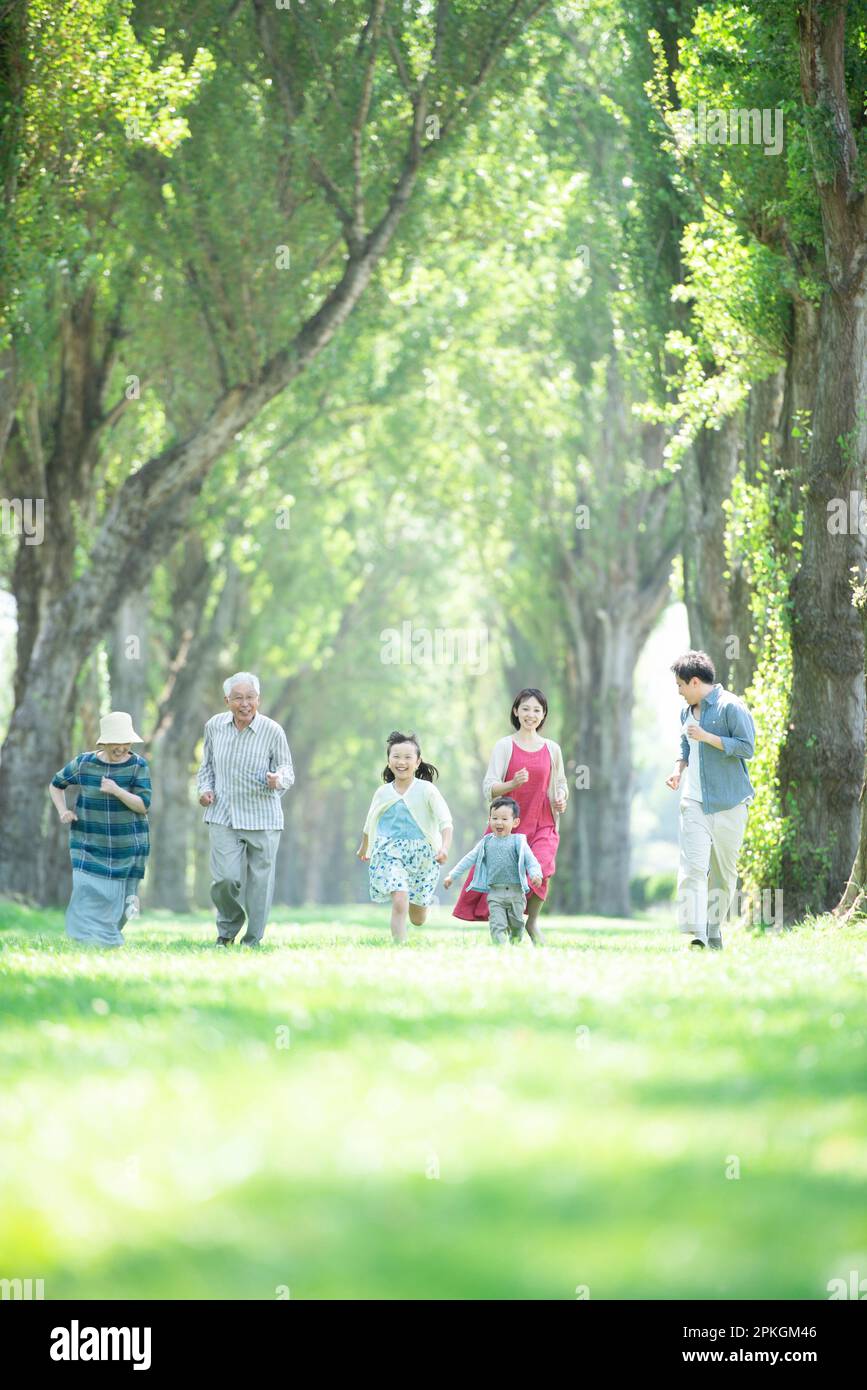 Family of 3 generations running alongside poplar trees Stock Photo - Alamy