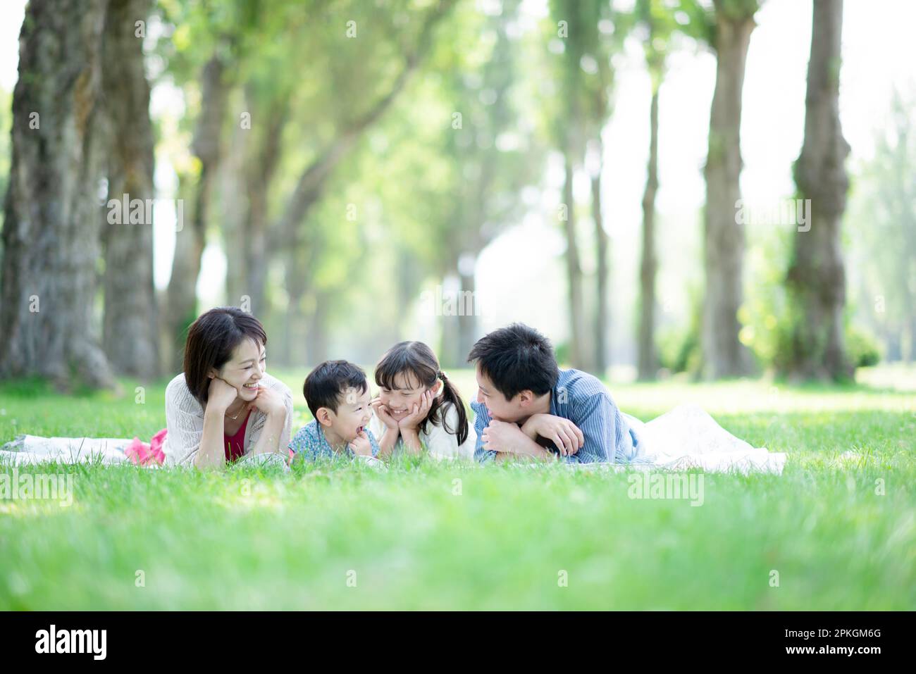 Four trees in a row hi-res stock photography and images - Alamy