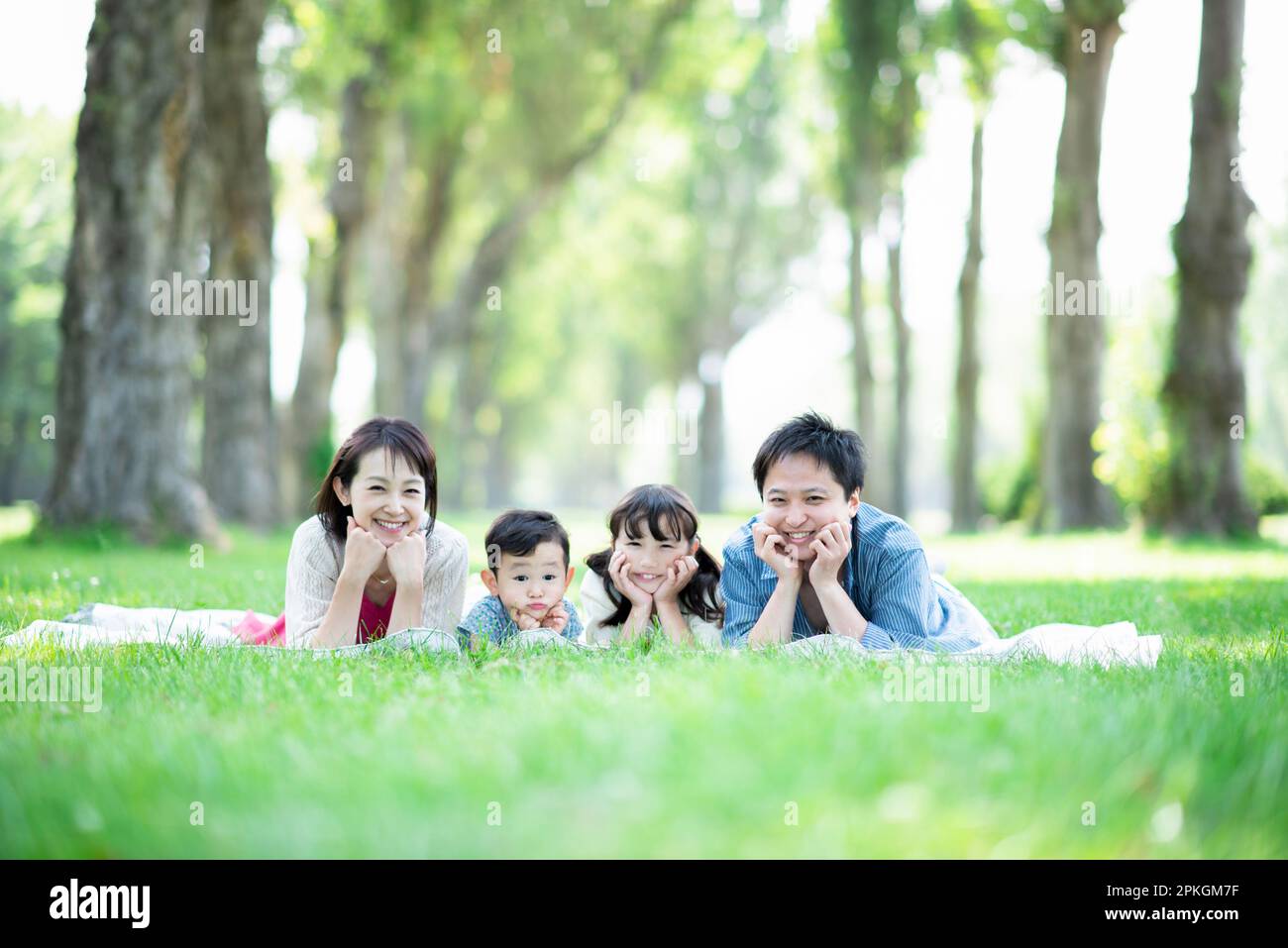 Looking down through trees hi-res stock photography and images - Alamy