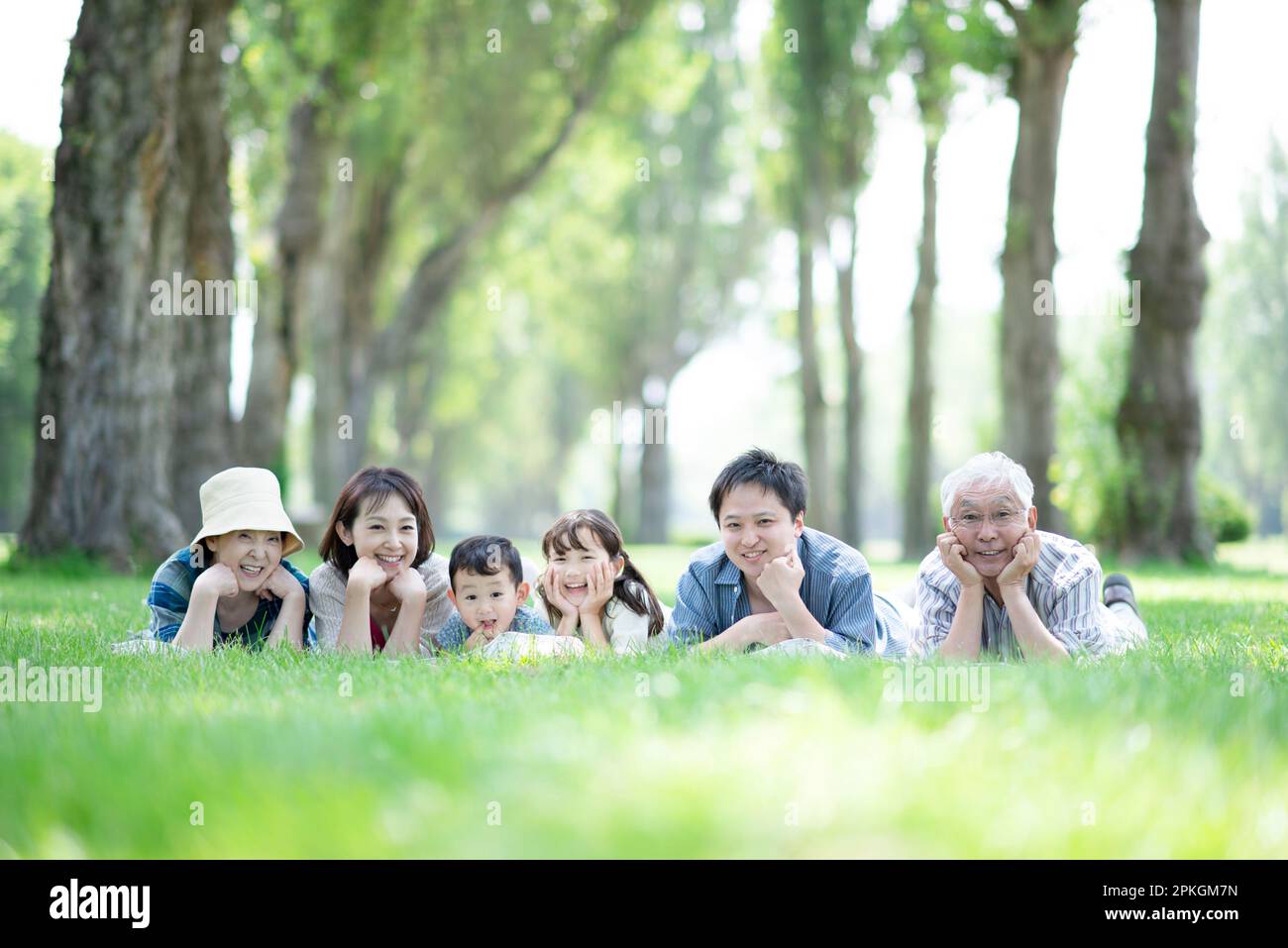 Family of three generations lying down in a row of poplar trees Stock ...