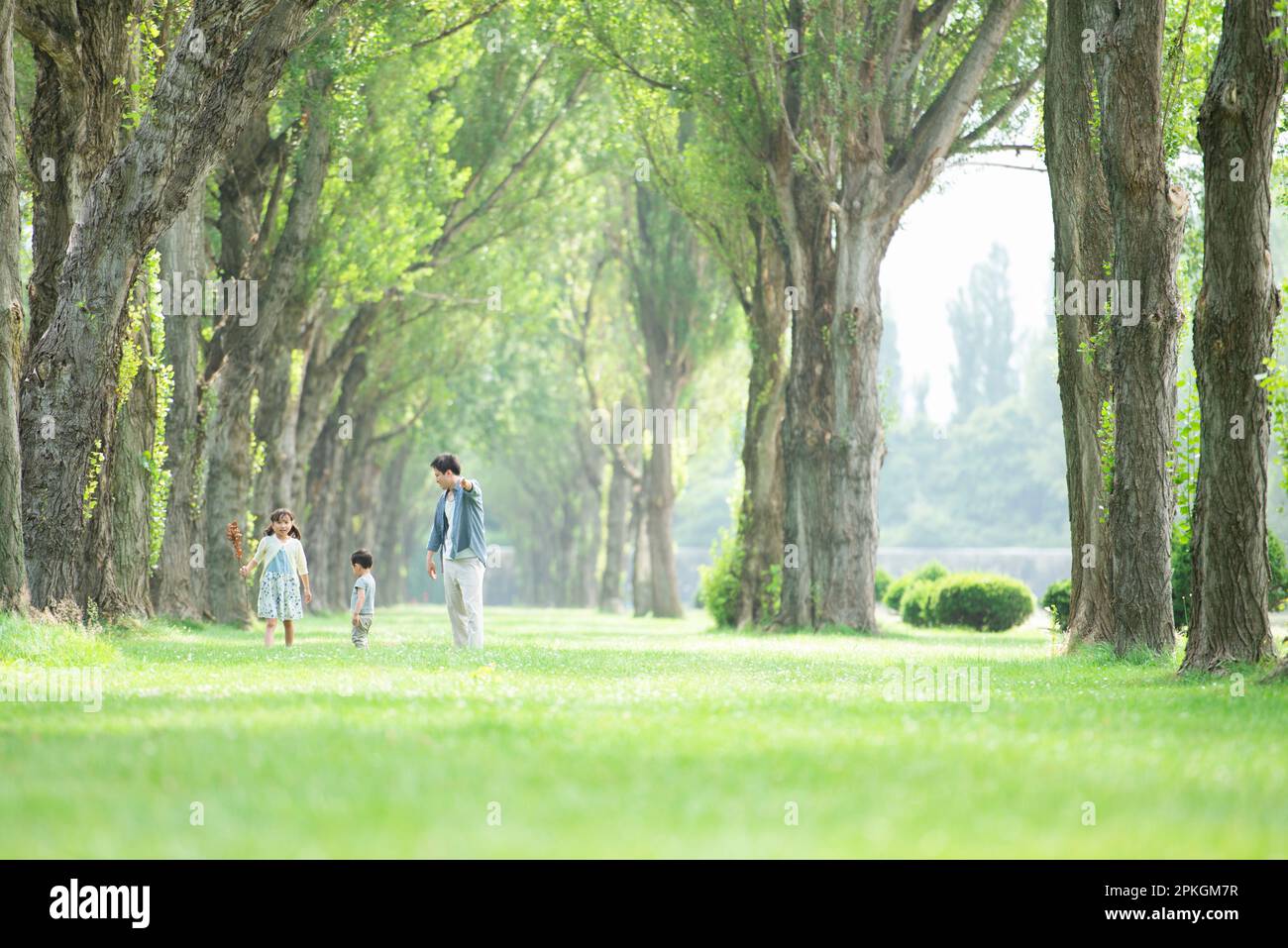 Parents and children playing alongside poplar trees Stock Photo - Alamy