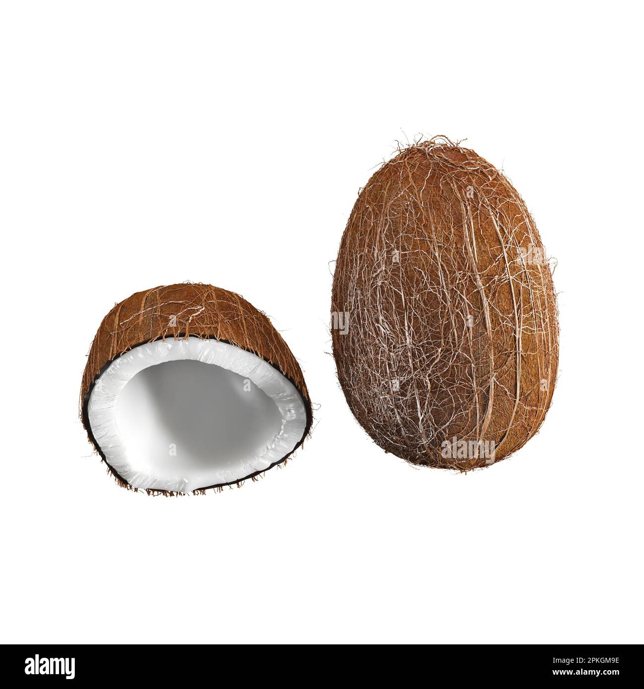 A whole and half coconut side-by-side on a white background, 3D ...