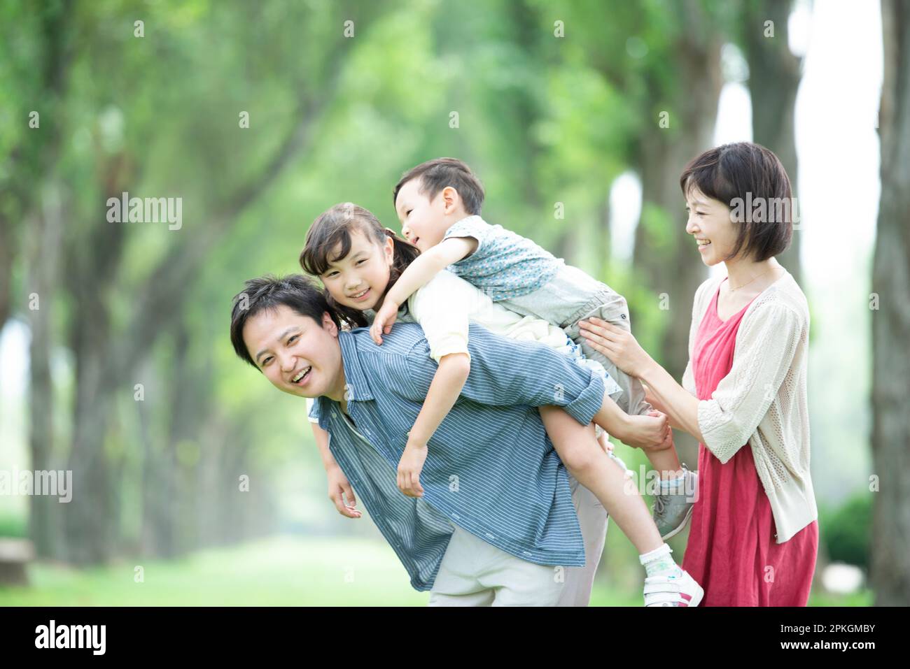 Parent and child playing on a piggyback in a row of poplar trees Stock ...