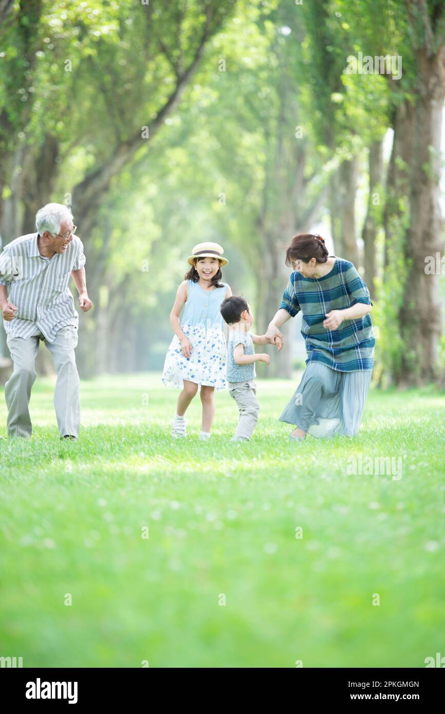 Grandparents and grandchildren playing in a row of poplar trees Stock ...
