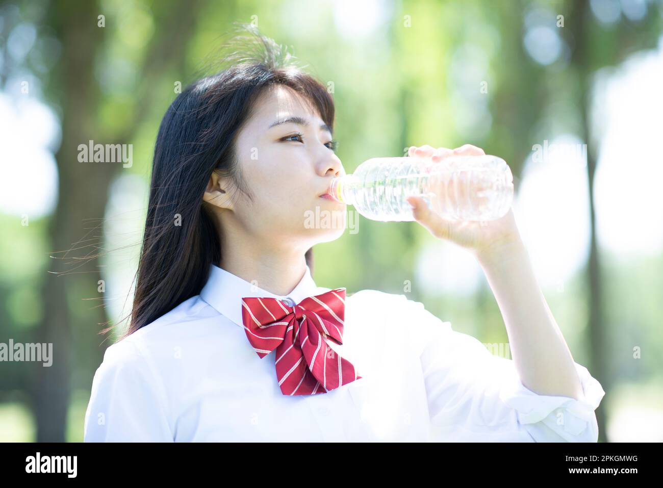 Female students rehydrating at a row of poplar trees Stock Photo - Alamy