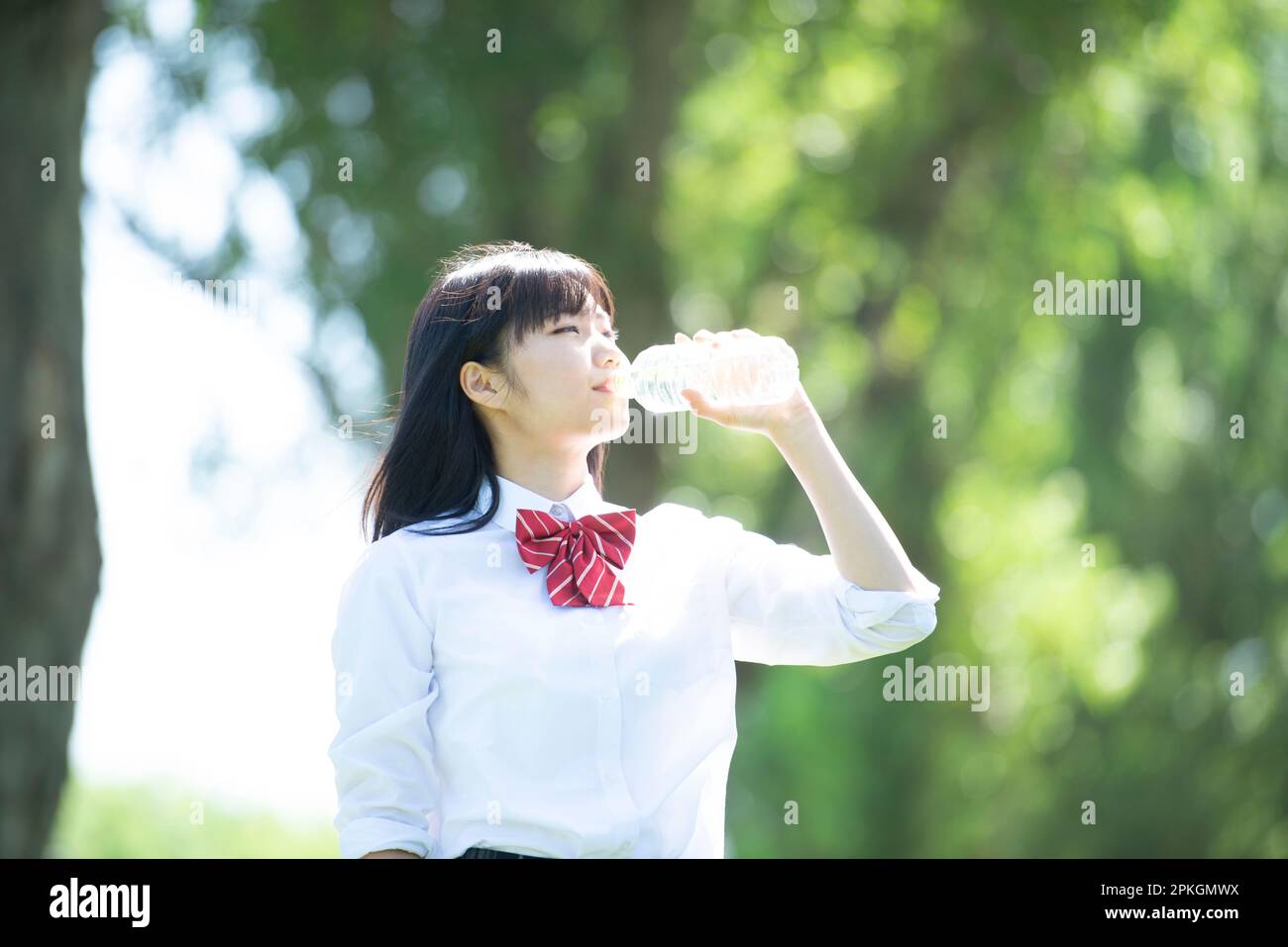 Female students rehydrating on a row of poplar trees Stock Photo - Alamy