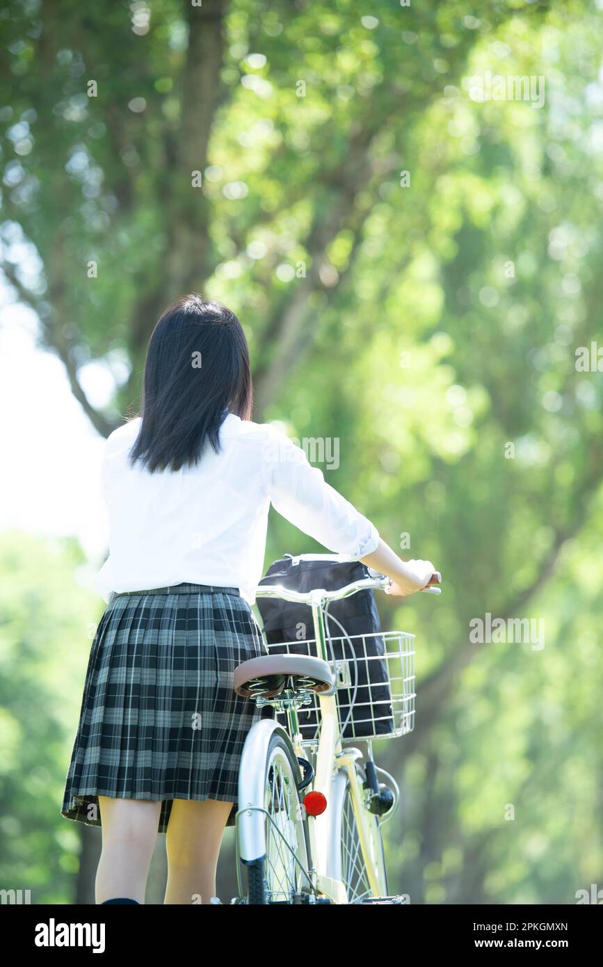 Rear view of a female student pushing a bicycle at a poplar tree lined ...