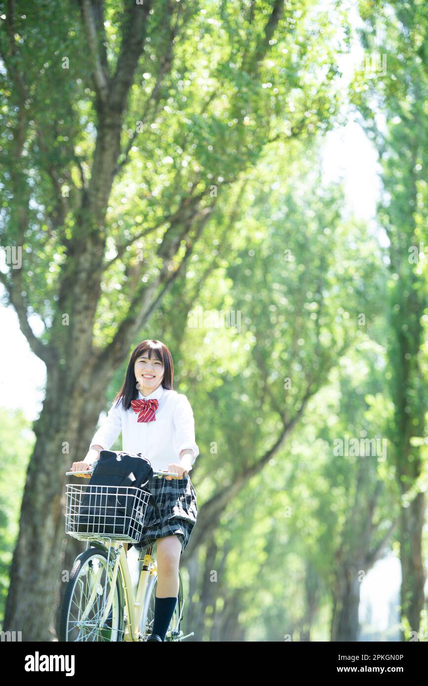 Female student riding a bicycle along poplar trees Stock Photo - Alamy