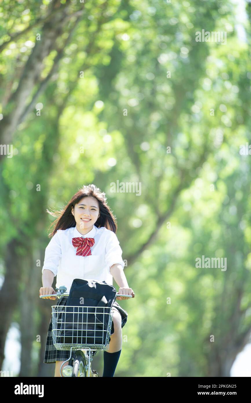 Female student riding a bicycle along poplar trees Stock Photo - Alamy