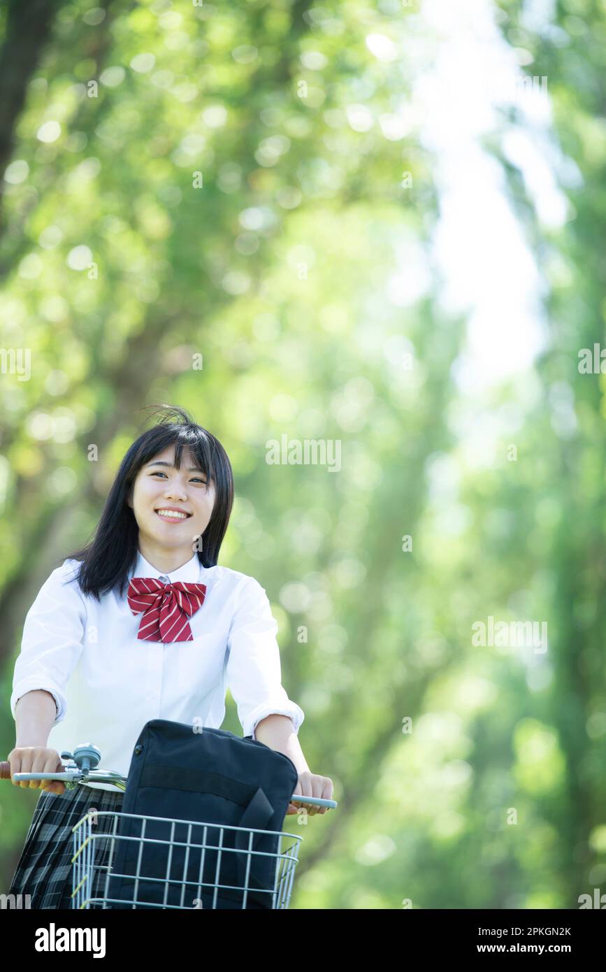 Female student riding a bicycle along poplar trees Stock Photo - Alamy