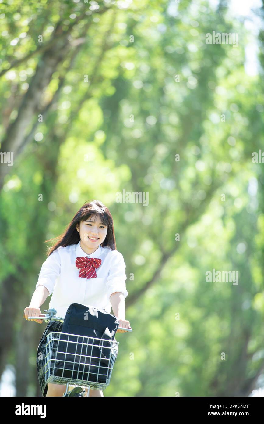 Female student riding a bicycle along poplar trees Stock Photo - Alamy