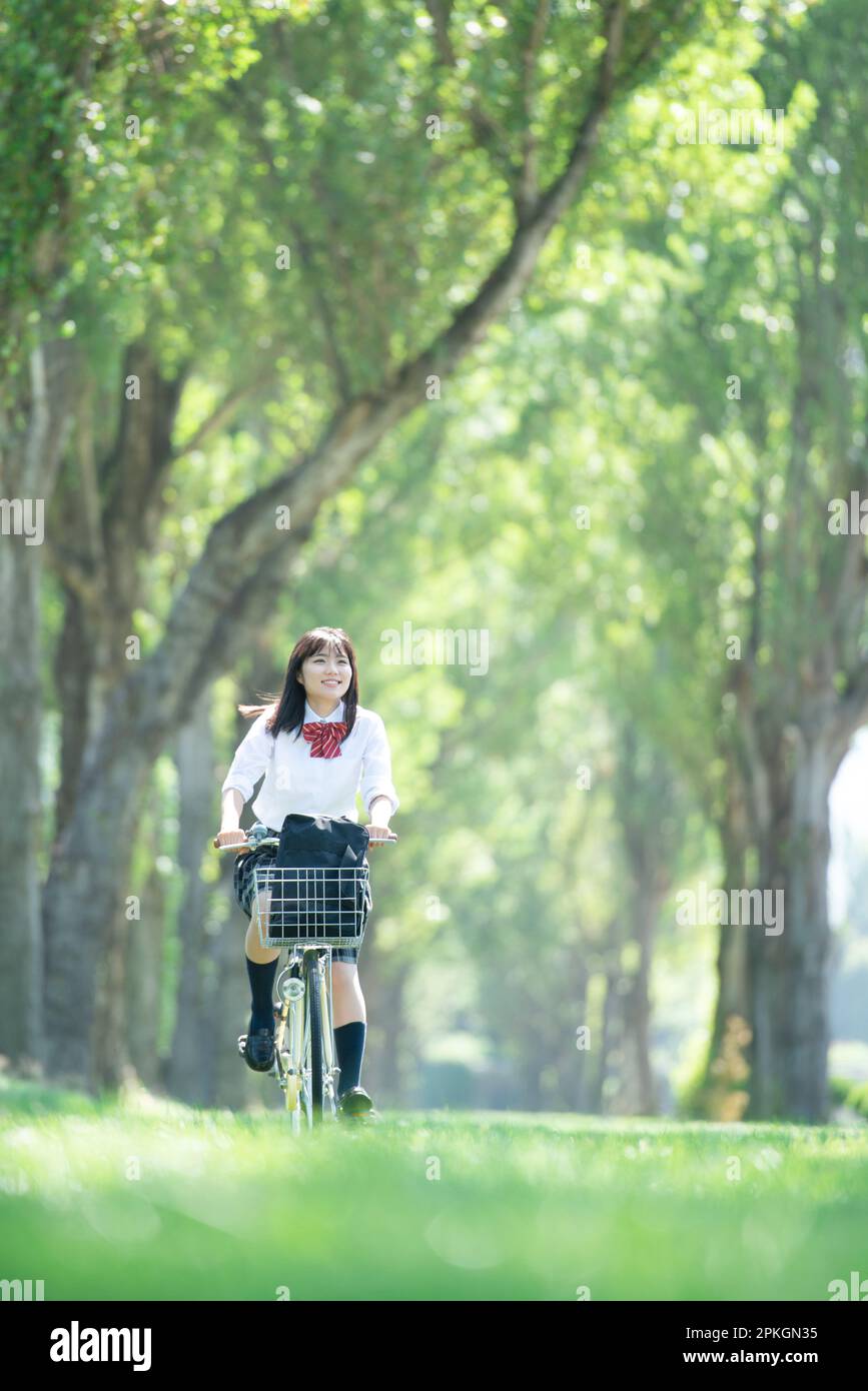 Female student riding a bicycle along poplar trees Stock Photo - Alamy