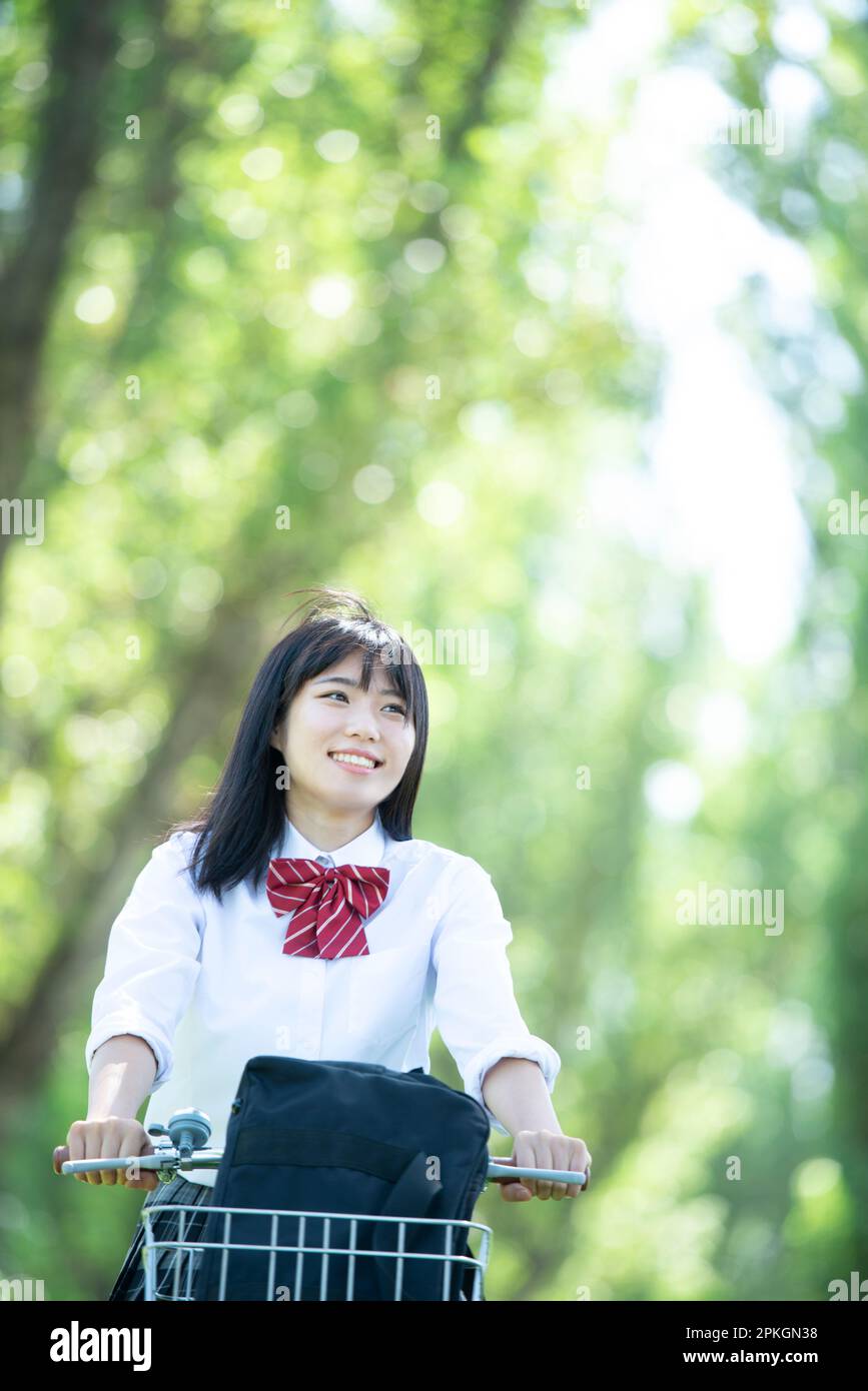 Female student riding a bicycle along poplar trees Stock Photo - Alamy