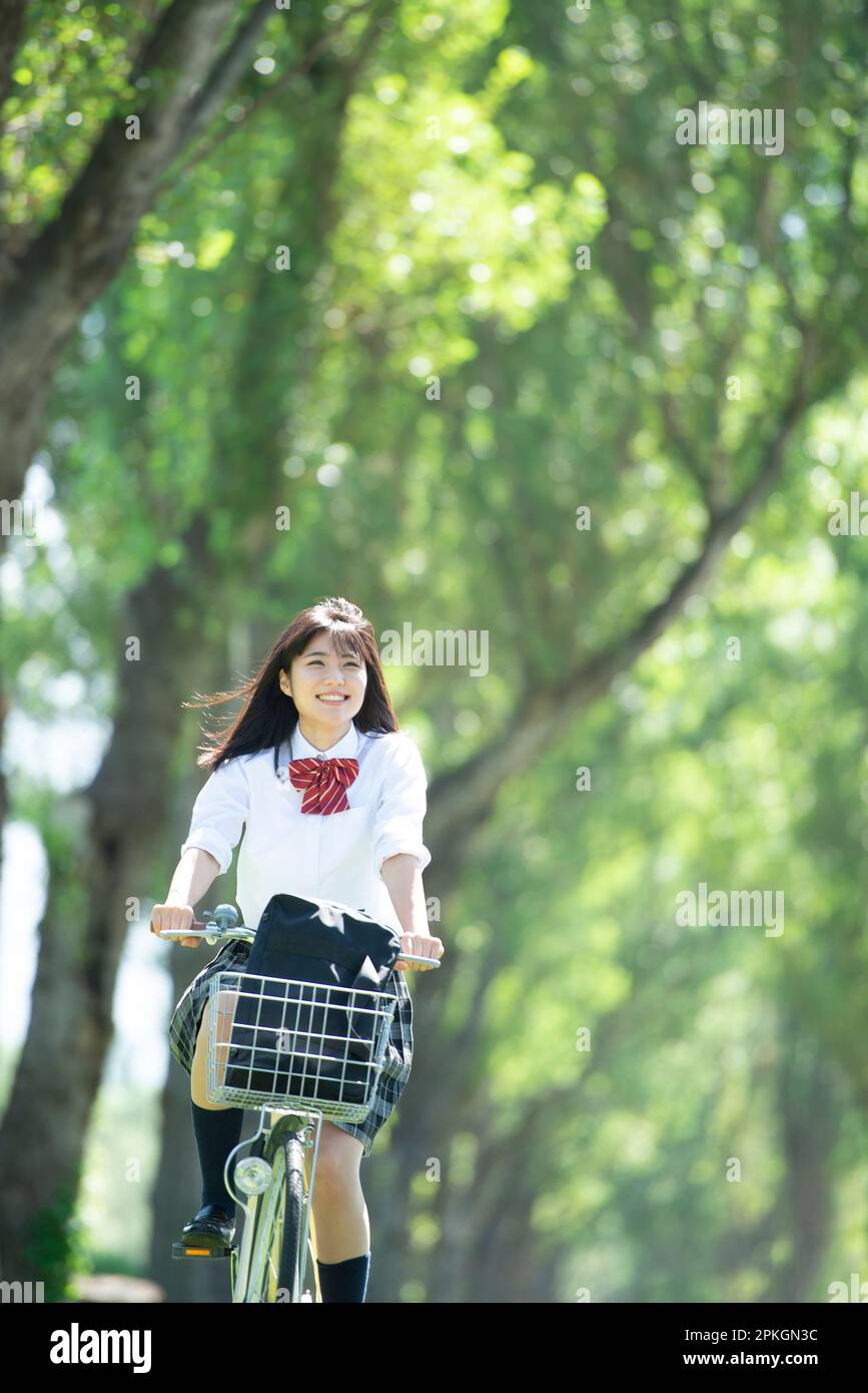 Female student riding a bicycle along poplar trees Stock Photo - Alamy