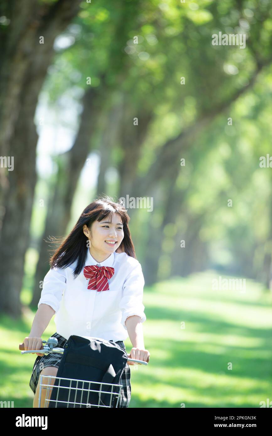 Female student riding a bicycle on poplar-lined avenue of trees Stock ...
