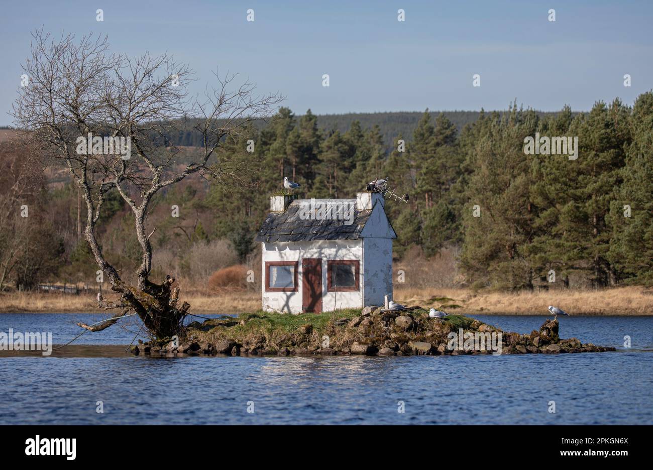 The Wee Hoose, Loch Shin, Lairg, Scotland Stock Photo - Alamy