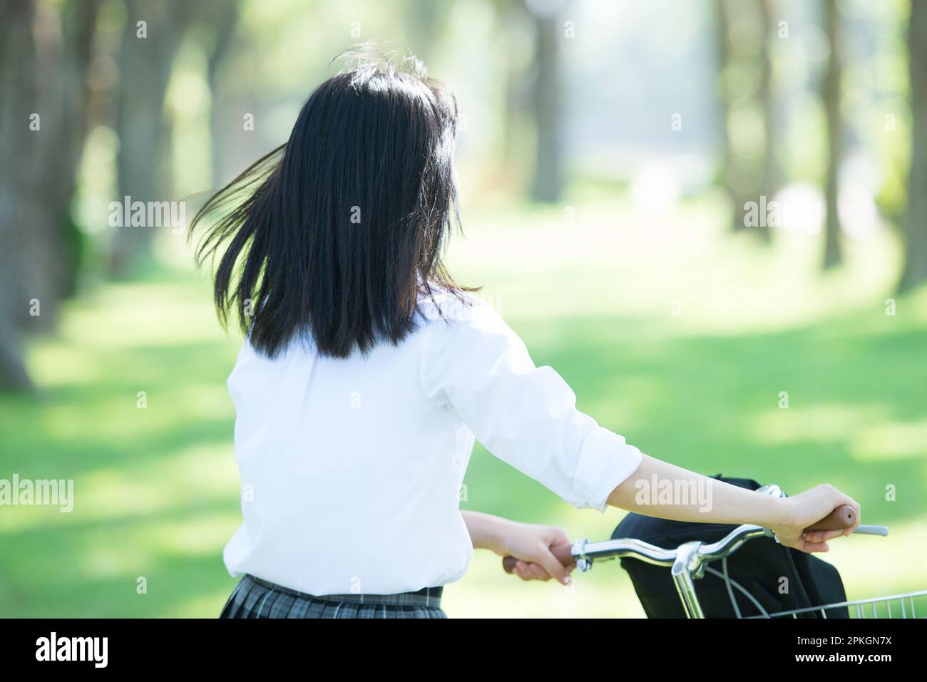 Rear view of a female student pushing a bicycle on poplar trees Stock ...