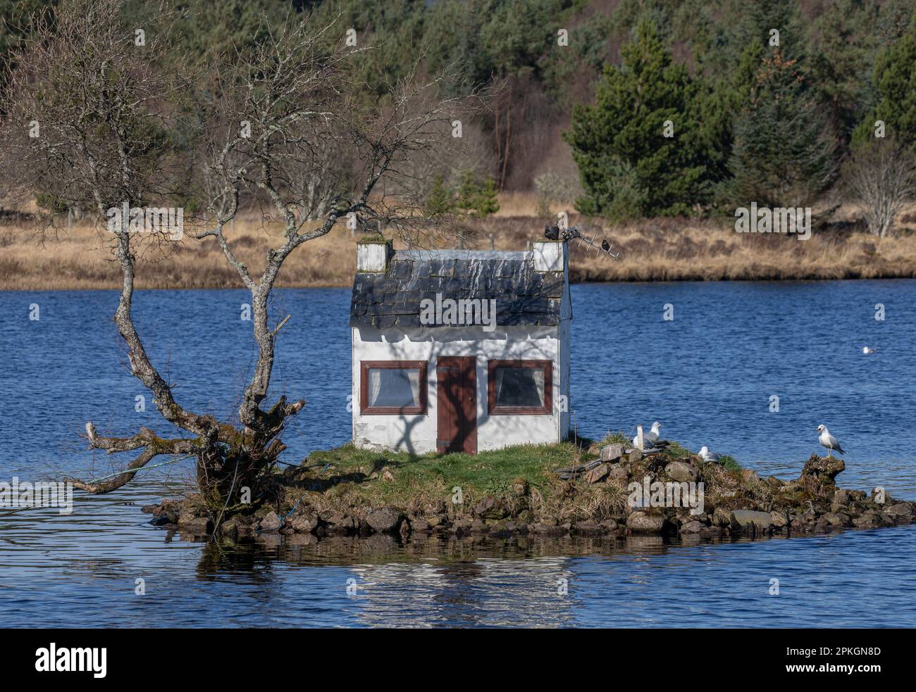 The Wee Hoose, Loch Shin, Lairg, Scotland Stock Photo - Alamy