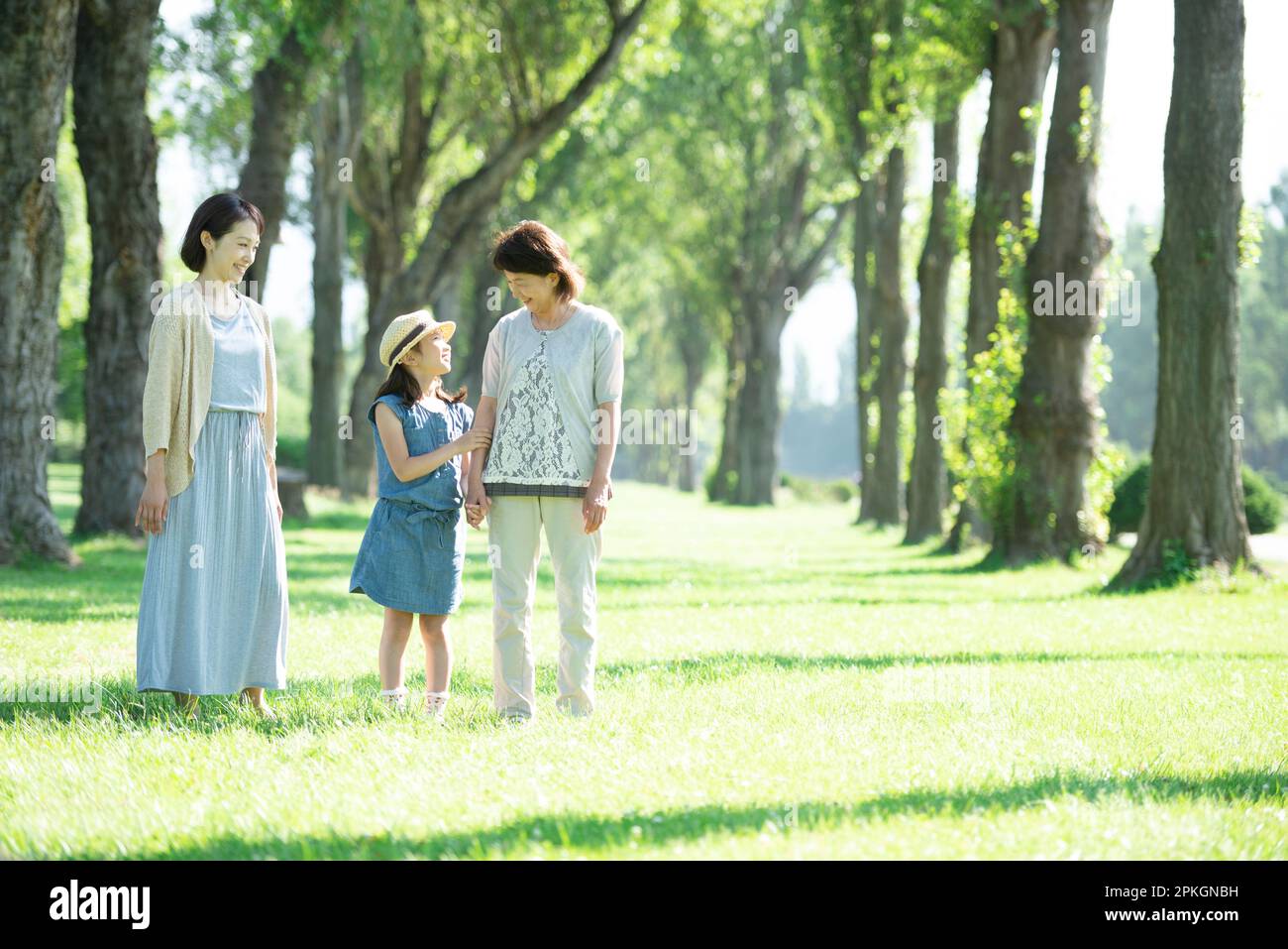 A family of three generations chatting at a row of poplar trees Stock ...