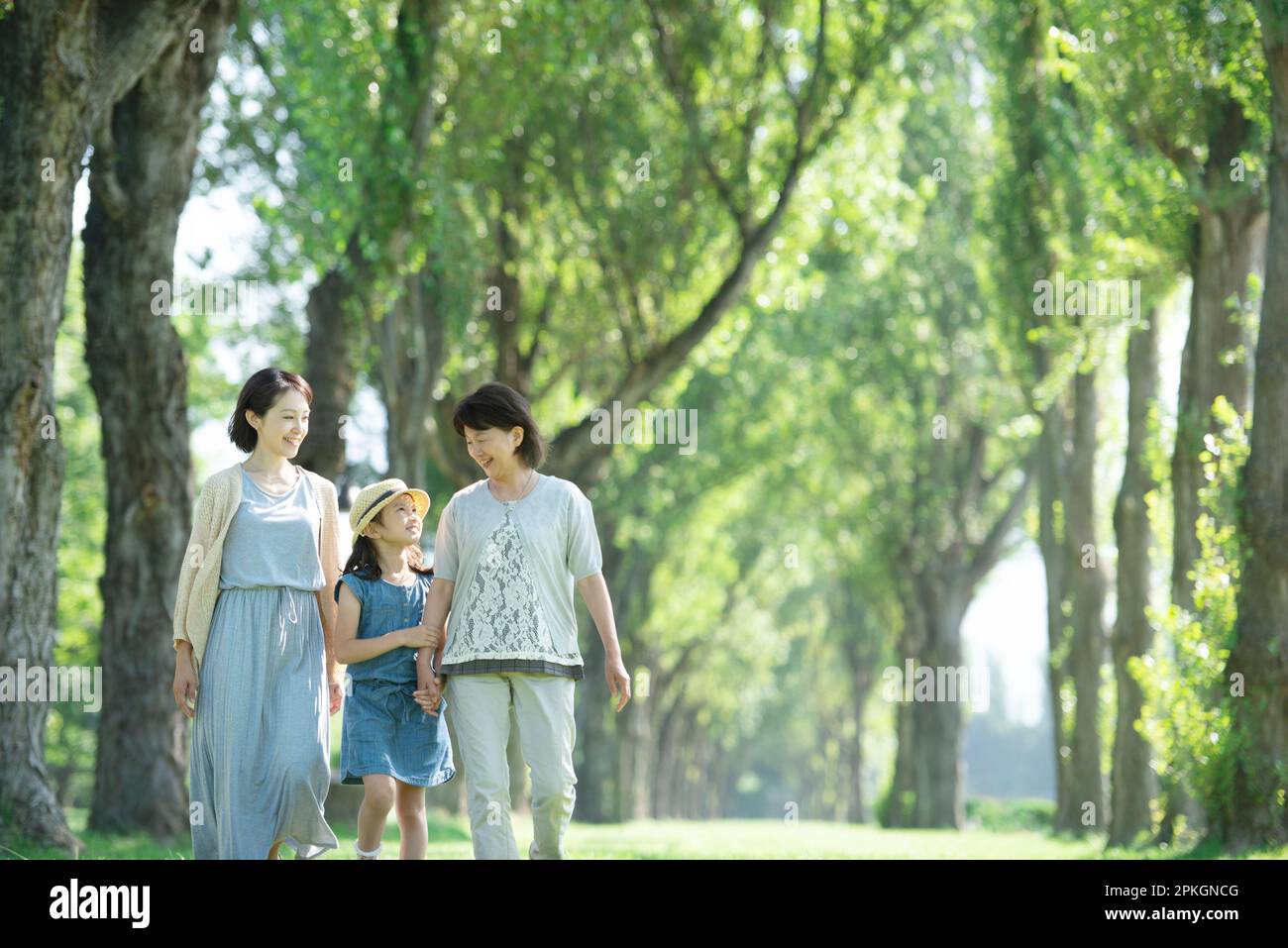 A family of three generations chatting at a row of poplar trees Stock ...