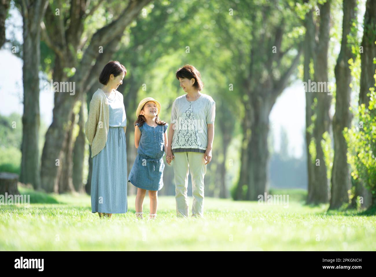 A family of three generations chatting in a row of poplar trees Stock ...