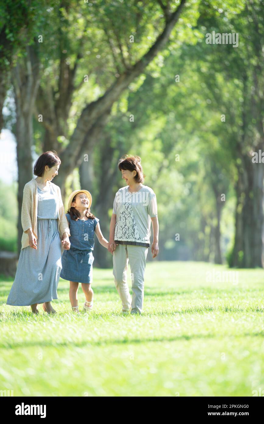 A family of three generations chatting in a row of poplar trees Stock ...