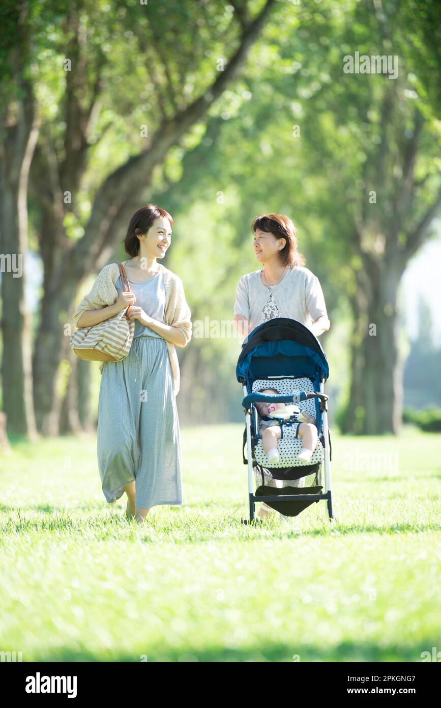A family of three generations taking a walk along poplar-lined avenue ...