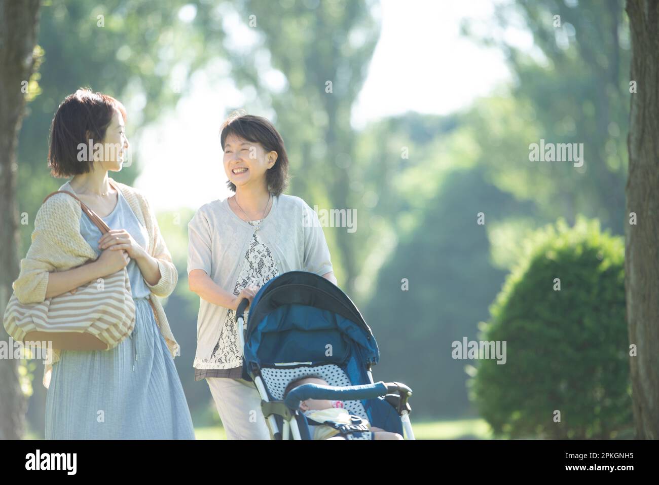 Family of 3 generations strolling along a row of poplar trees Stock ...