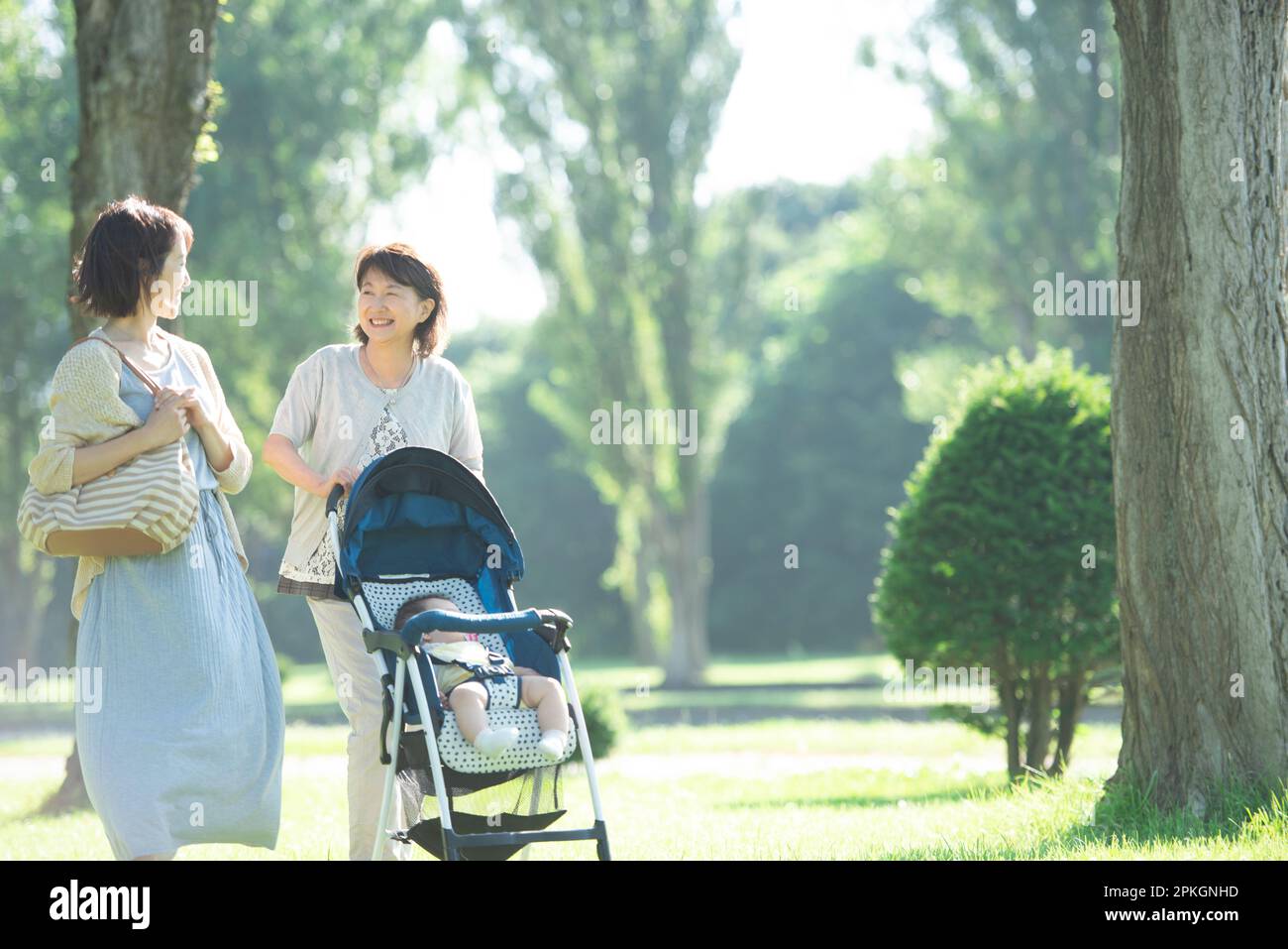 A family of three generations strolling along poplar-lined avenue Stock Photo - Alamy