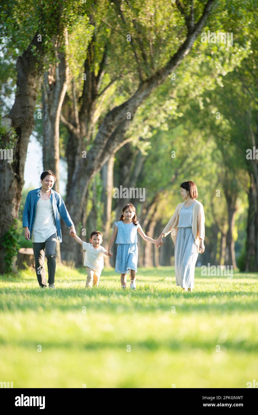 Family walking along poplar trees Stock Photo - Alamy