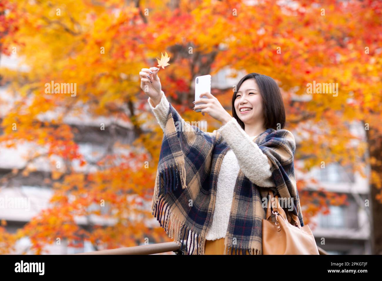 Autumn relaxing video hi-res stock photography and images - Alamy