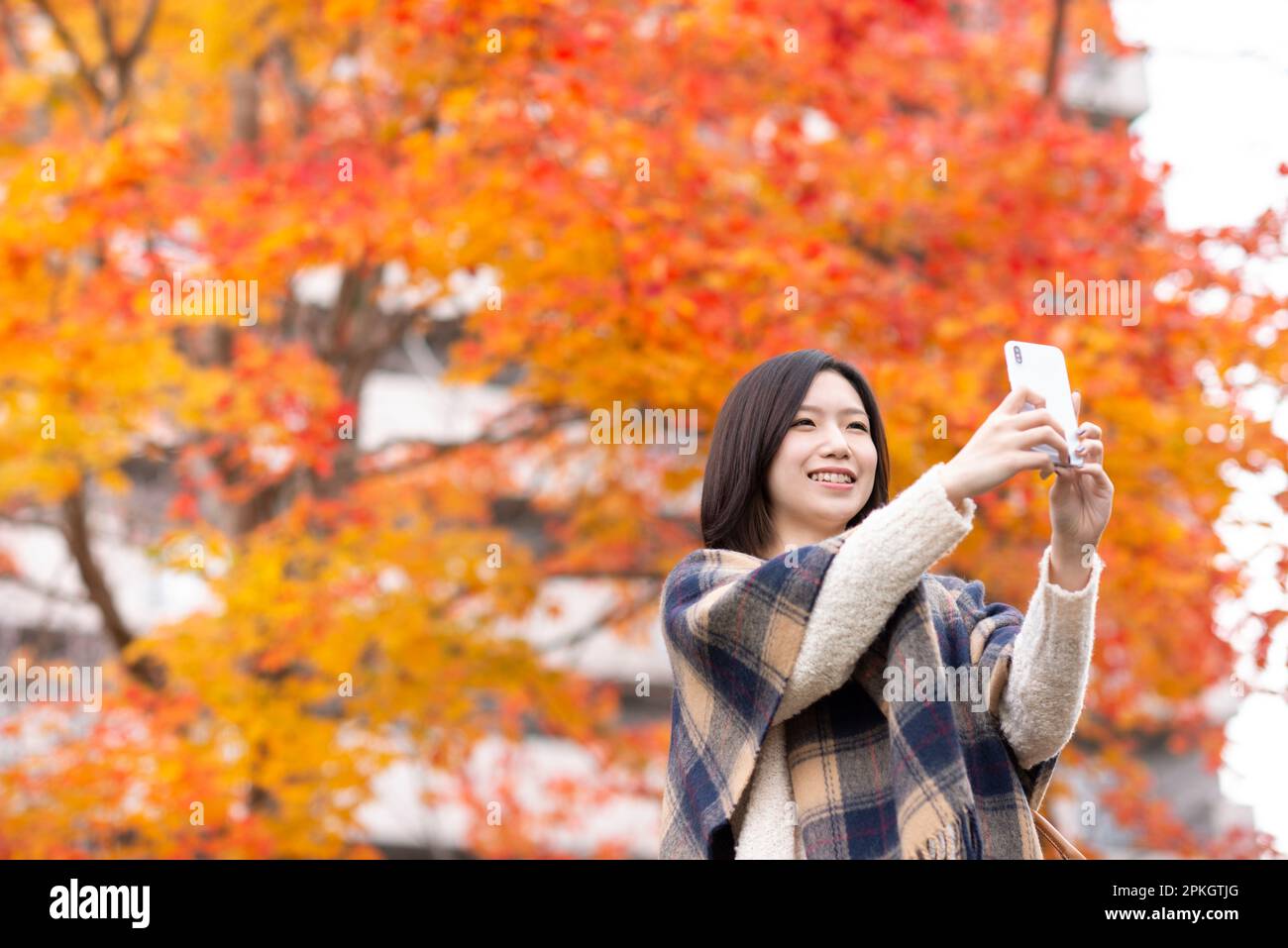 Autumn relaxing video hi-res stock photography and images - Alamy