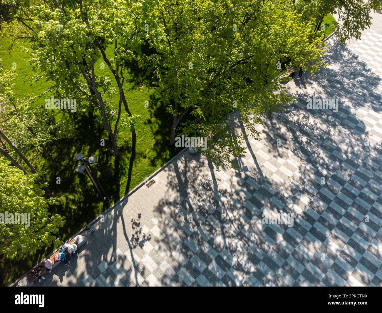 Look down aerial view on tiled walking street, square with green spring ...