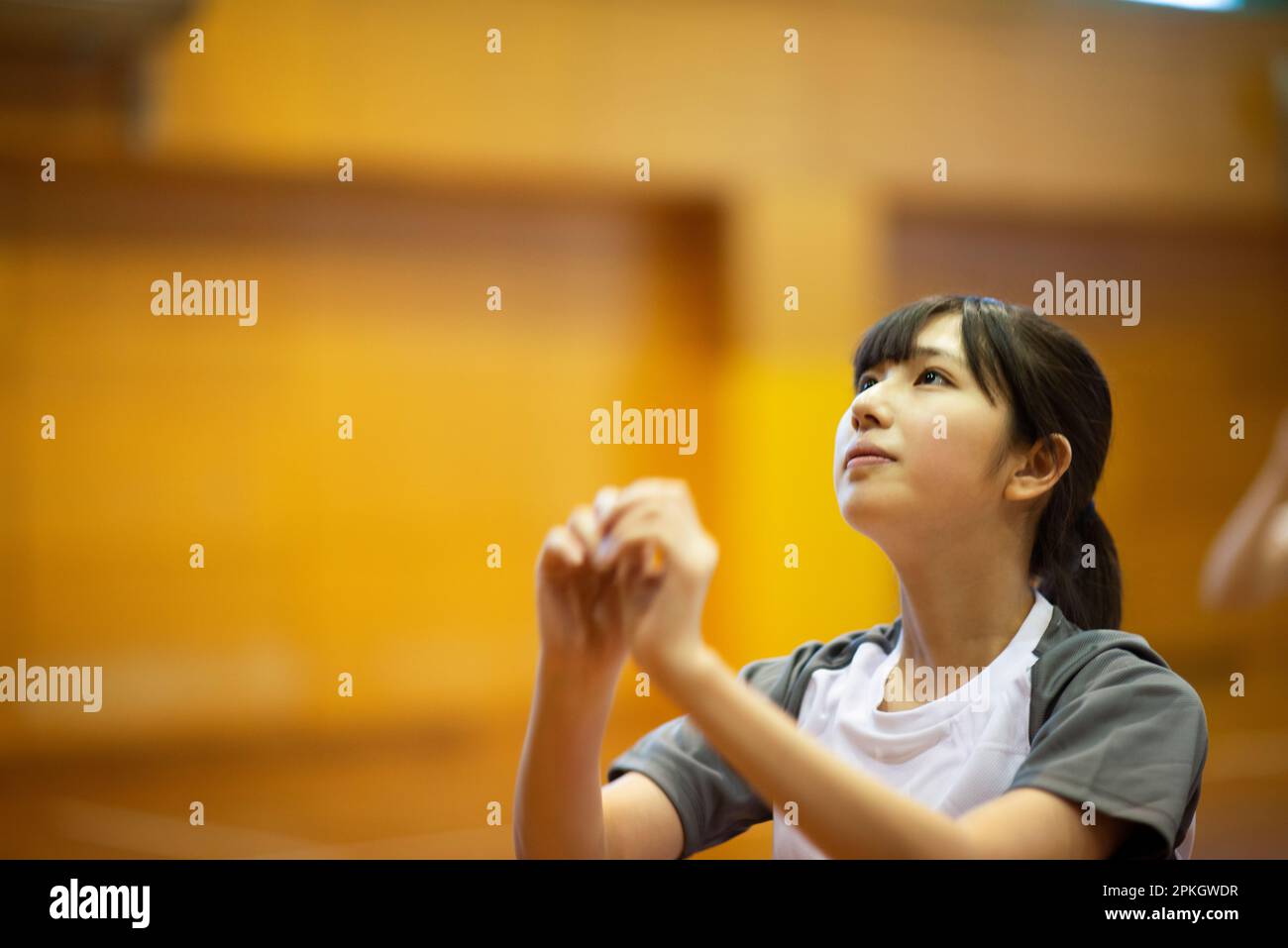 Female students exercising in the gymnasium Stock Photo - Alamy