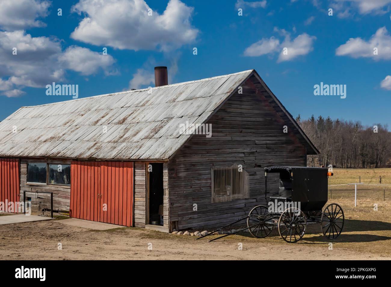 Maple sugaring shack and buggy on an Amish farm in central Michigan ...