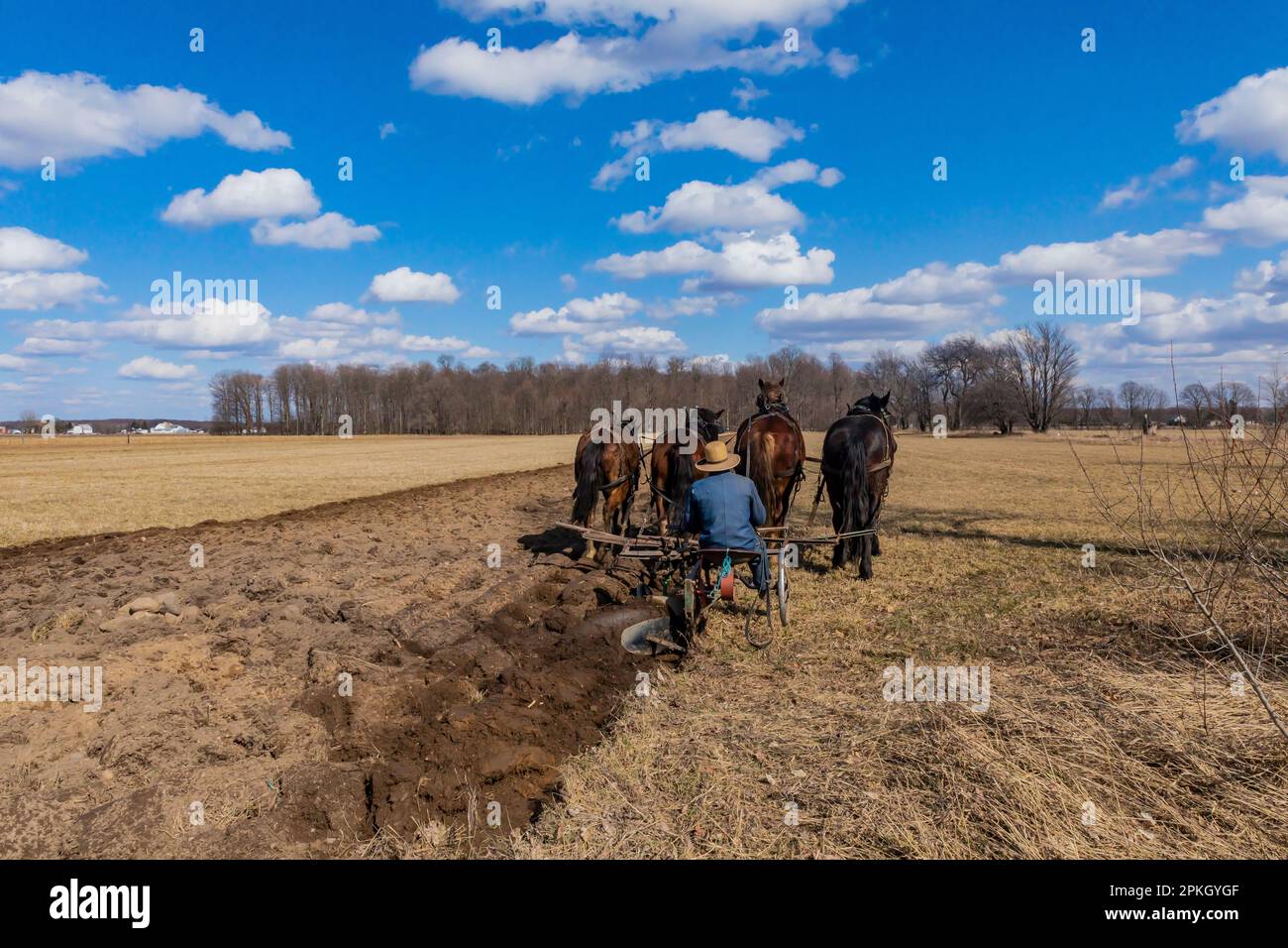 Single blade plow hi-res stock photography and images - Alamy