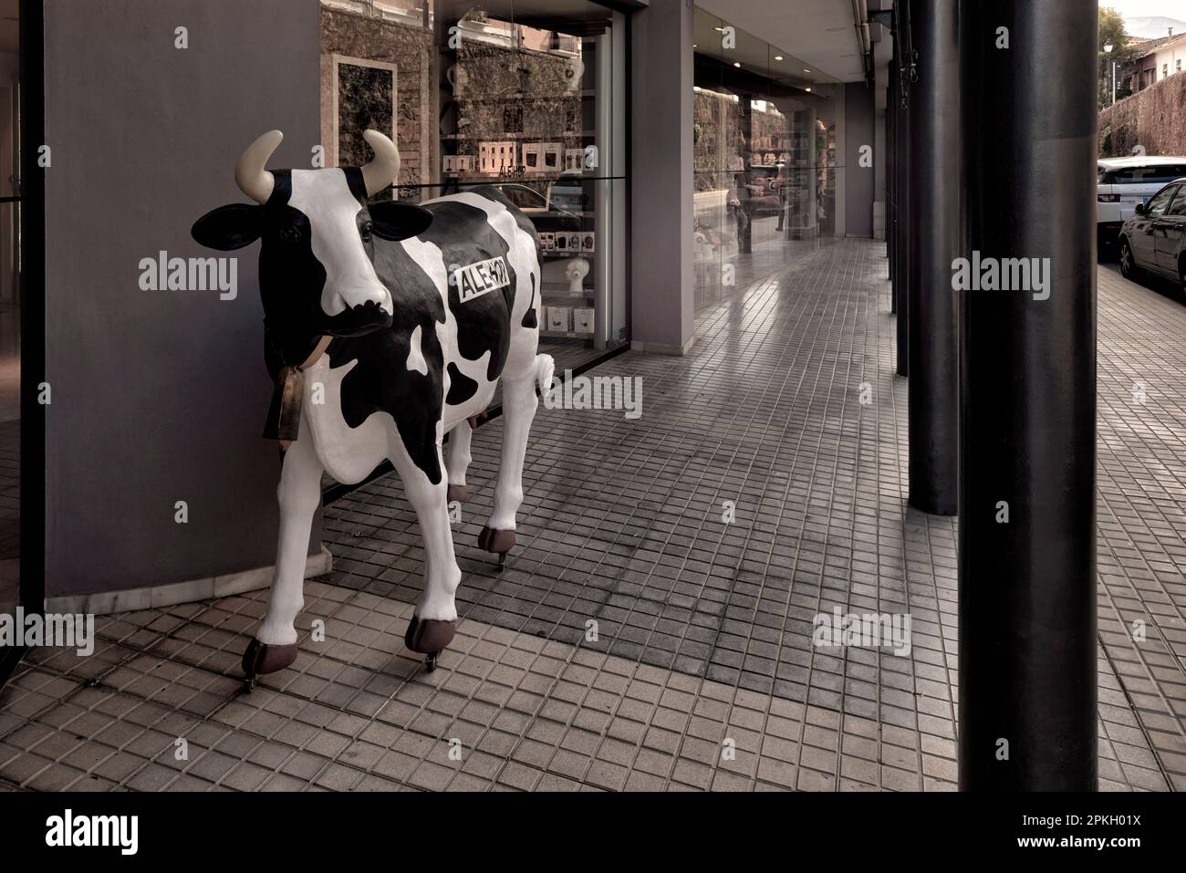 Sculpture of a cow at the entrance door of a shop in the town of Denia ...