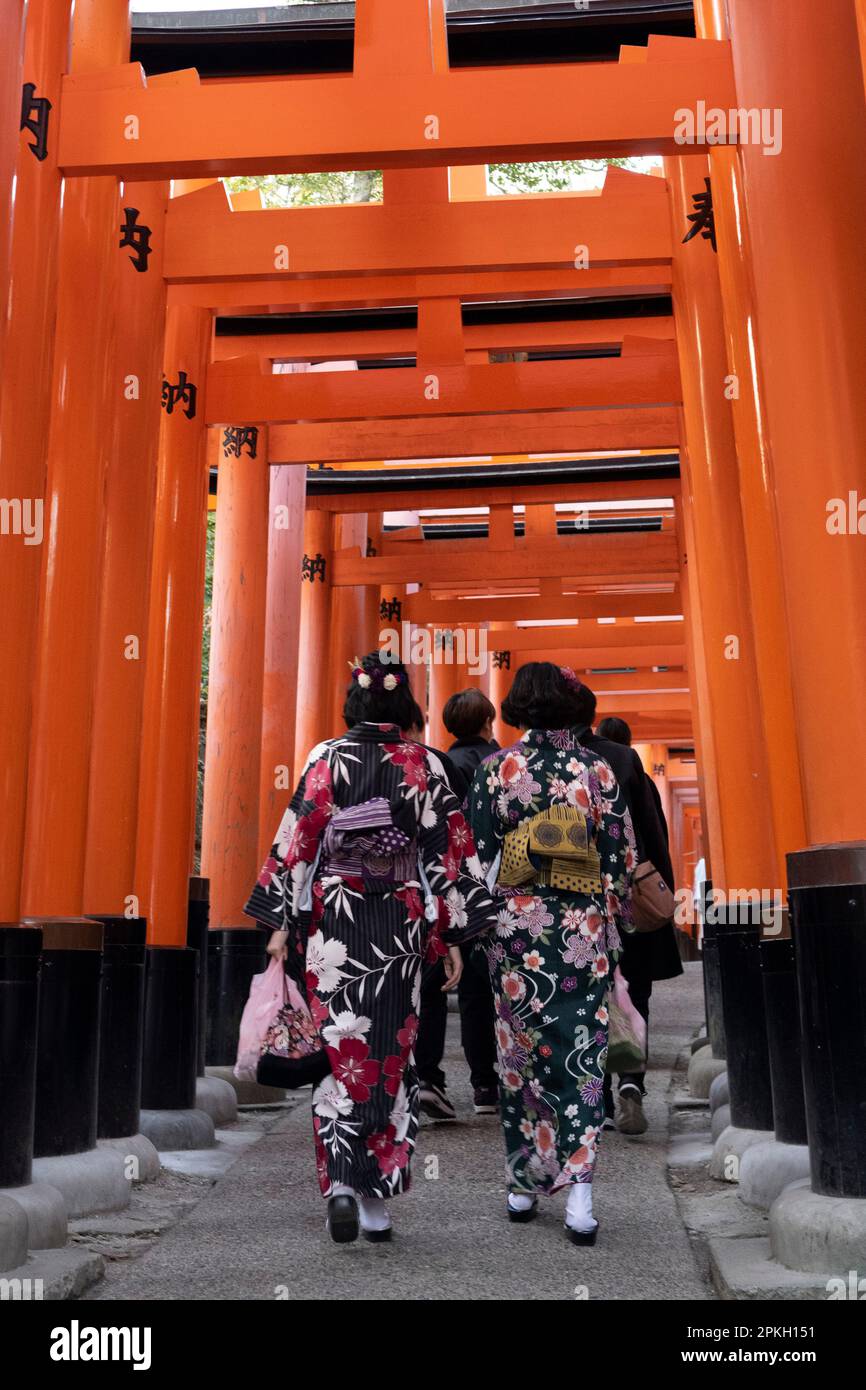 Kyoto, Japan. 6th Mar, 2023. Two women in kimono walk torii pathways in ...