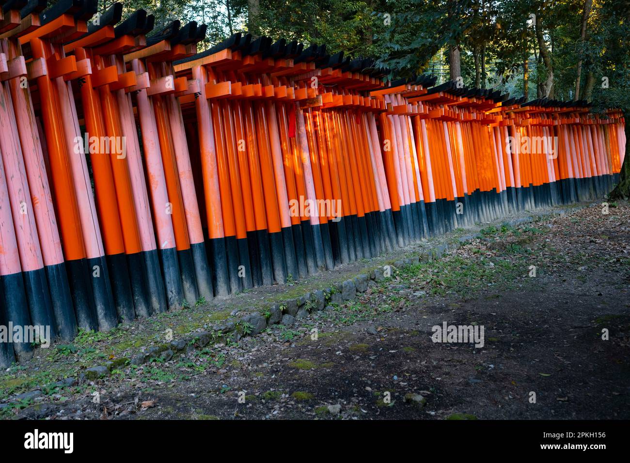Kyoto, Japan. 6th Mar, 2023. Torii pathways in Mt. Inari.Fushimi Inari ...