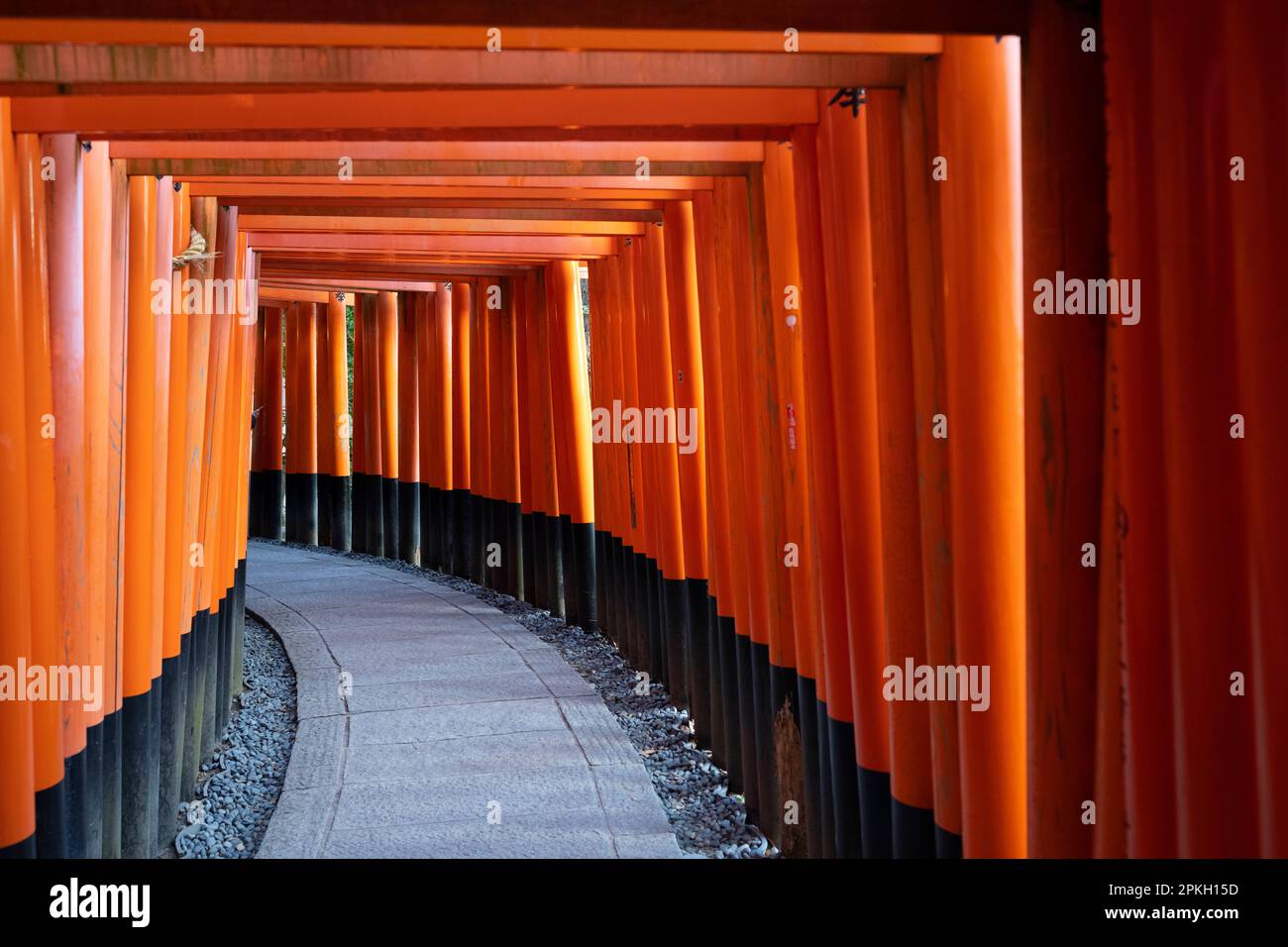 Kyoto, Japan. 6th Mar, 2023. Torii pathways in Mt. Inari.Fushimi Inari ...