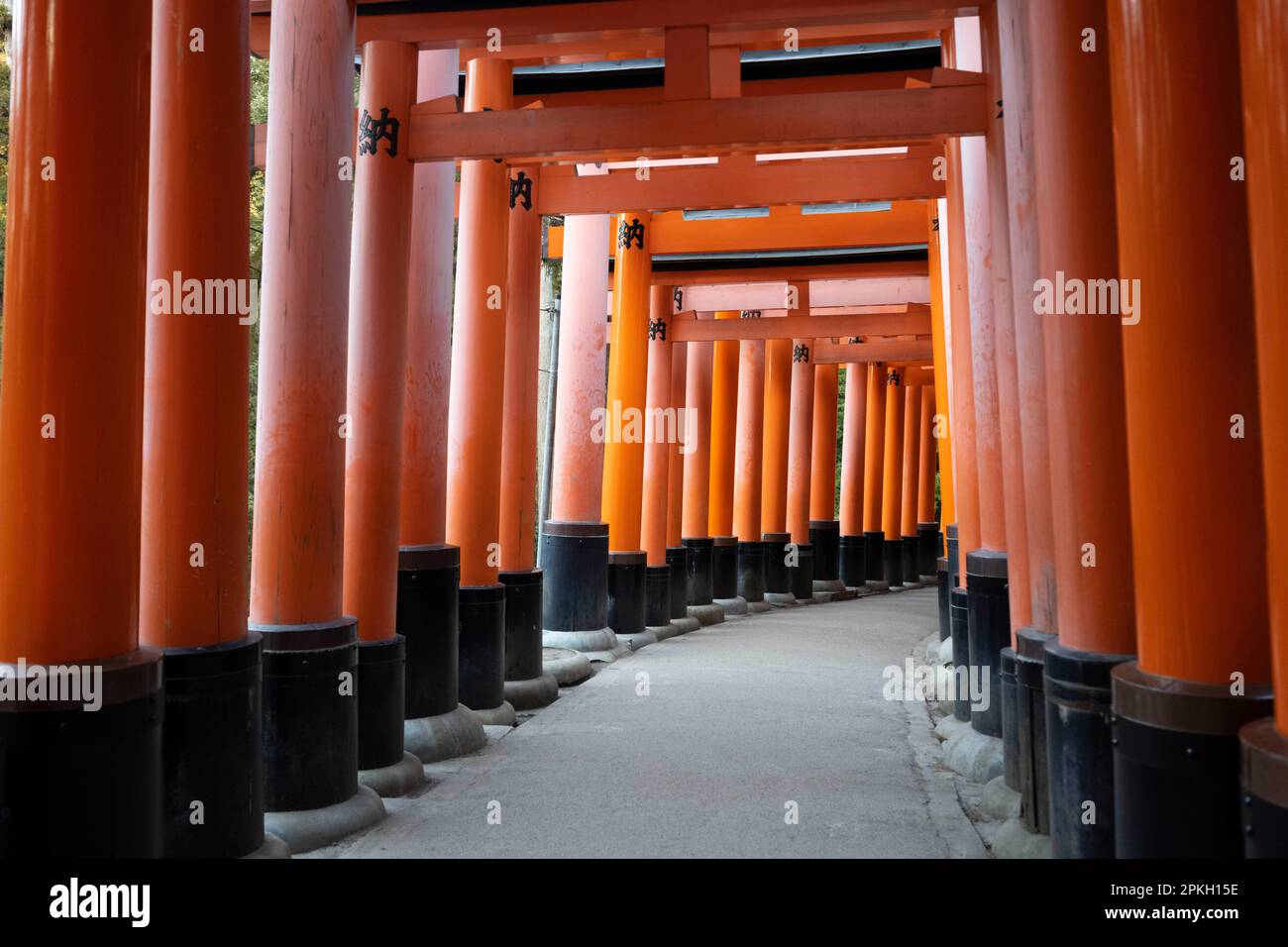 Kyoto, Japan. 6th Mar, 2023. Torii pathways in Mt. Inari.Fushimi Inari ...
