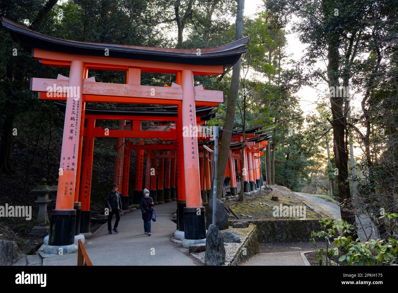 Kyoto, Japan. 6th Mar, 2023. Torii pathways in Mt. Inari.Fushimi Inari ...