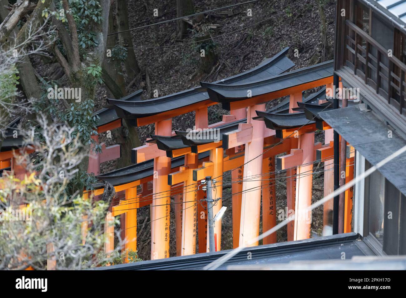 Kyoto, Japan. 6th Mar, 2023. Torii pathways in Mt. Inari.Fushimi Inari ...